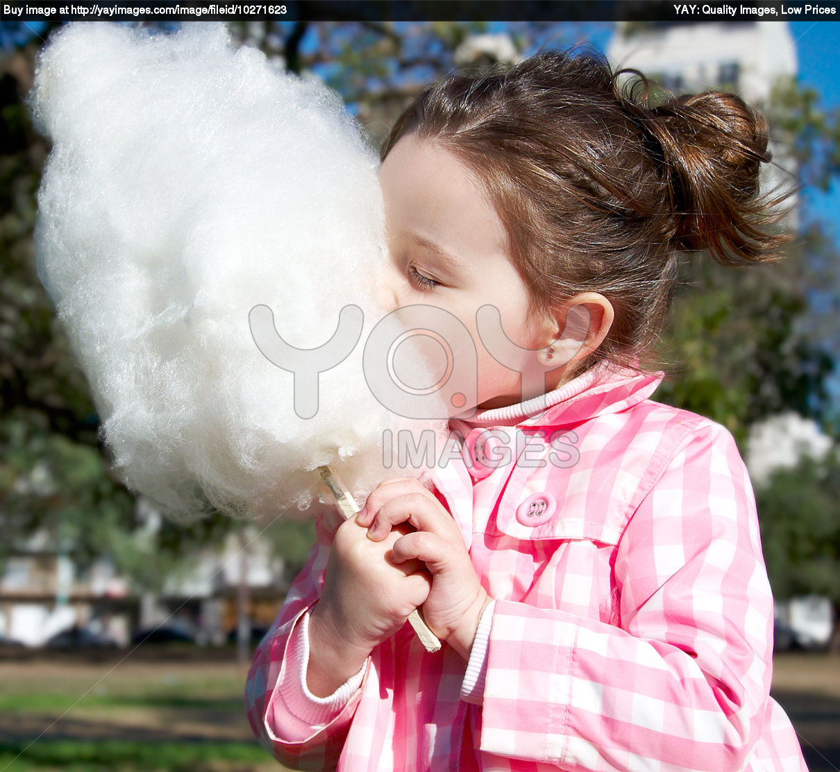 Canterbury Candyfloss